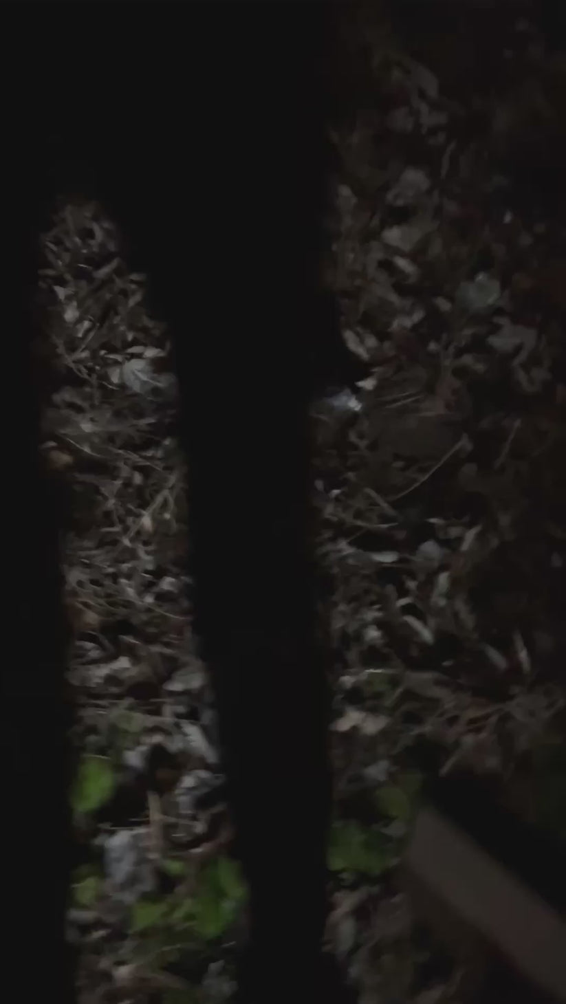 GSPOT GLOCK ACTIVE RESET TRIGGER V2 – pembleton and sons